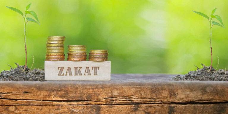 Give Zakat - Rafeeqee Foundation